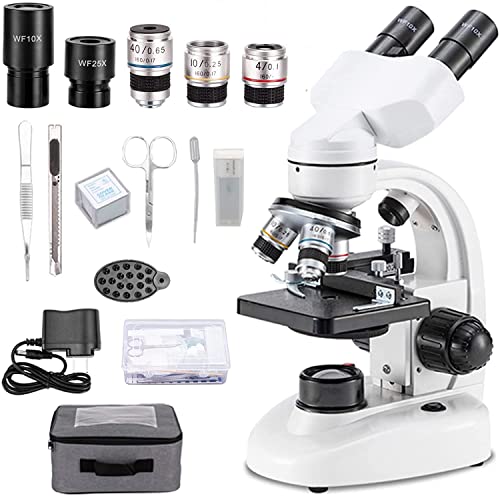 11 Best Compound Microscopes - Our Picks, Alternatives & Reviews ...