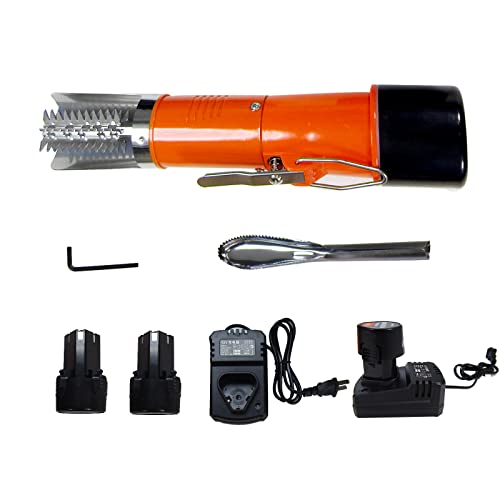 8 Best Electric Fish Scalers - Our Picks, Alternatives & Reviews ...