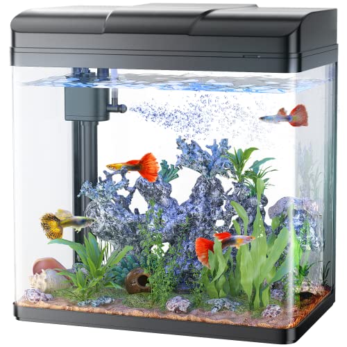 9 Best Fish Tanks - Our Picks, Alternatives & Reviews - Alternative.me