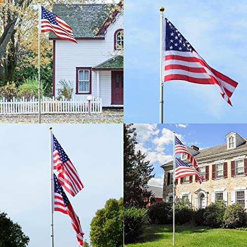 7 Best Flag Poles - Our Picks, Alternatives & Reviews - Alternative.me