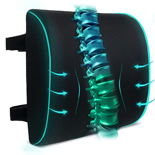 11 Best Lumbar Supports - Our Picks, Alternatives & Reviews ...