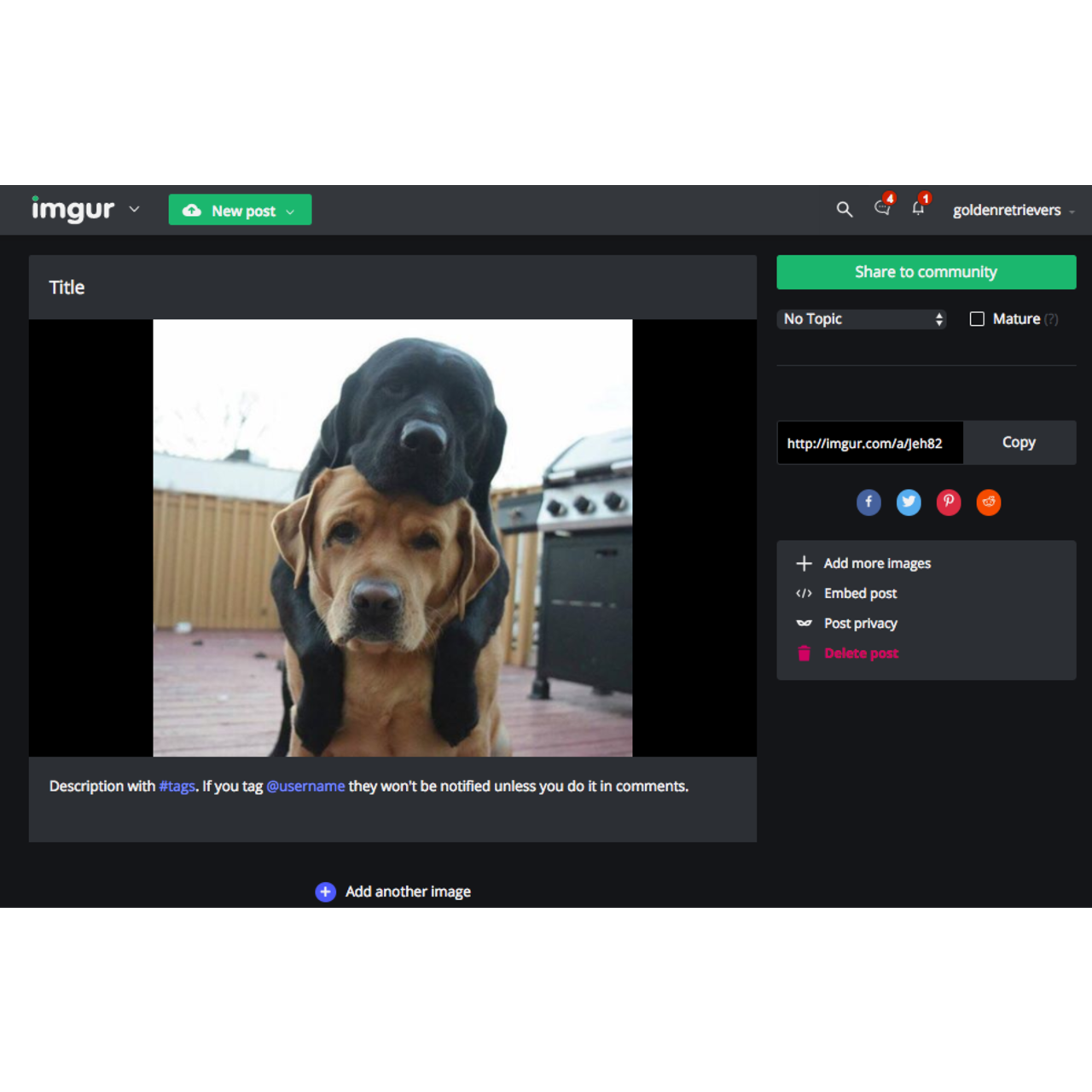 16 Best Imgur Alternatives - Reviews, Features, Pros & Cons - Alternative.me