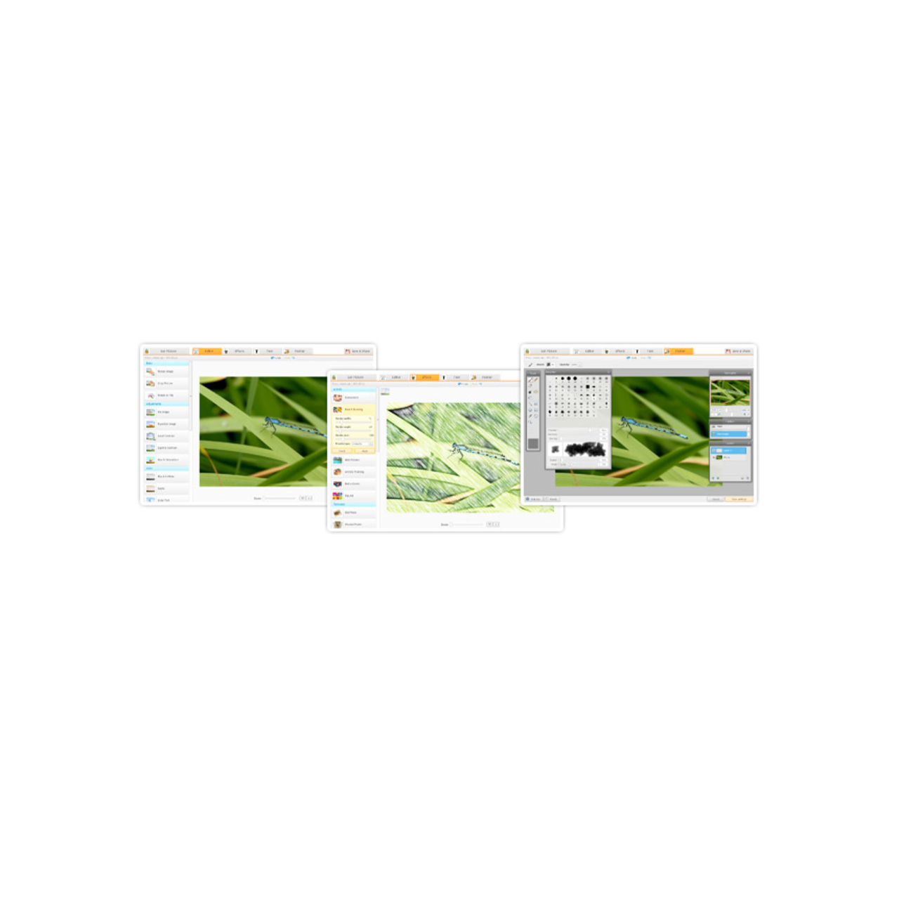16 Best iPiccy Alternatives - Reviews, Features, Pros & Cons ...