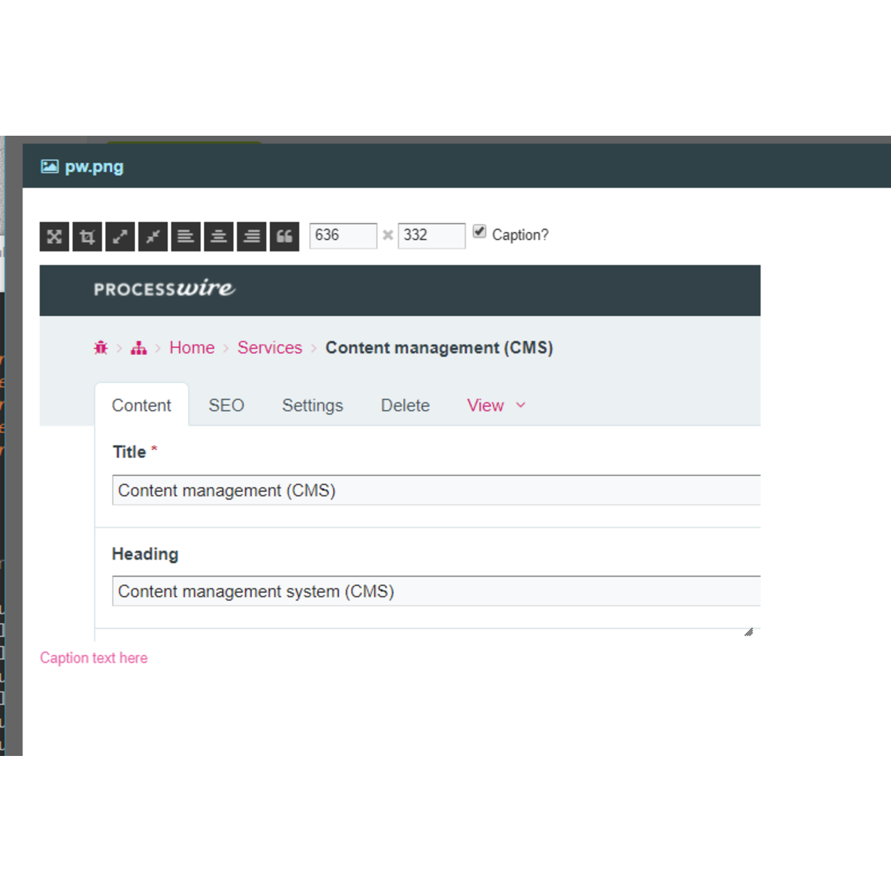 23 Best ProcessWire Alternatives - Reviews, Features, Pros & Cons - Alternative.me
