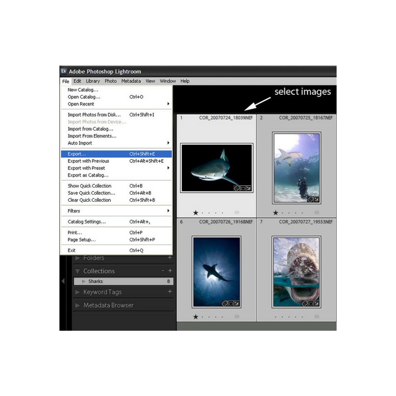 21 Best SmugMug Alternatives - Reviews, Features, Pros & Cons ...
