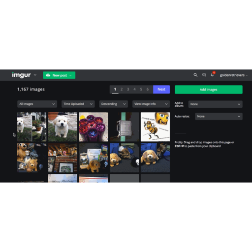 16 Best Imgur Alternatives - Reviews, Features Pros & Cons - Alternative