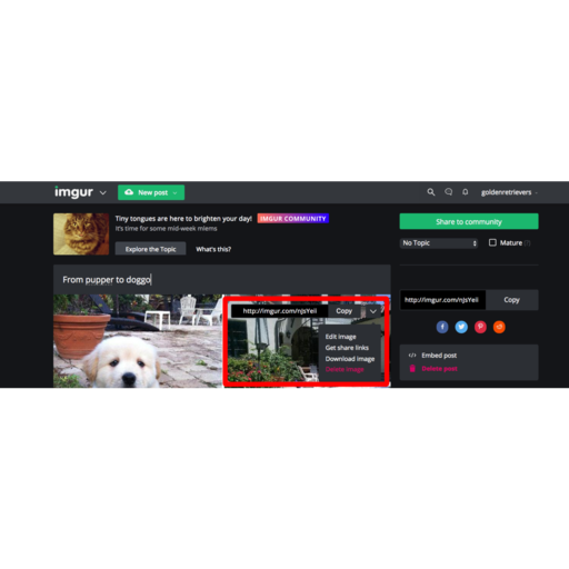 16 Best Imgur Alternatives - Reviews, Features Pros & Cons - Alternative